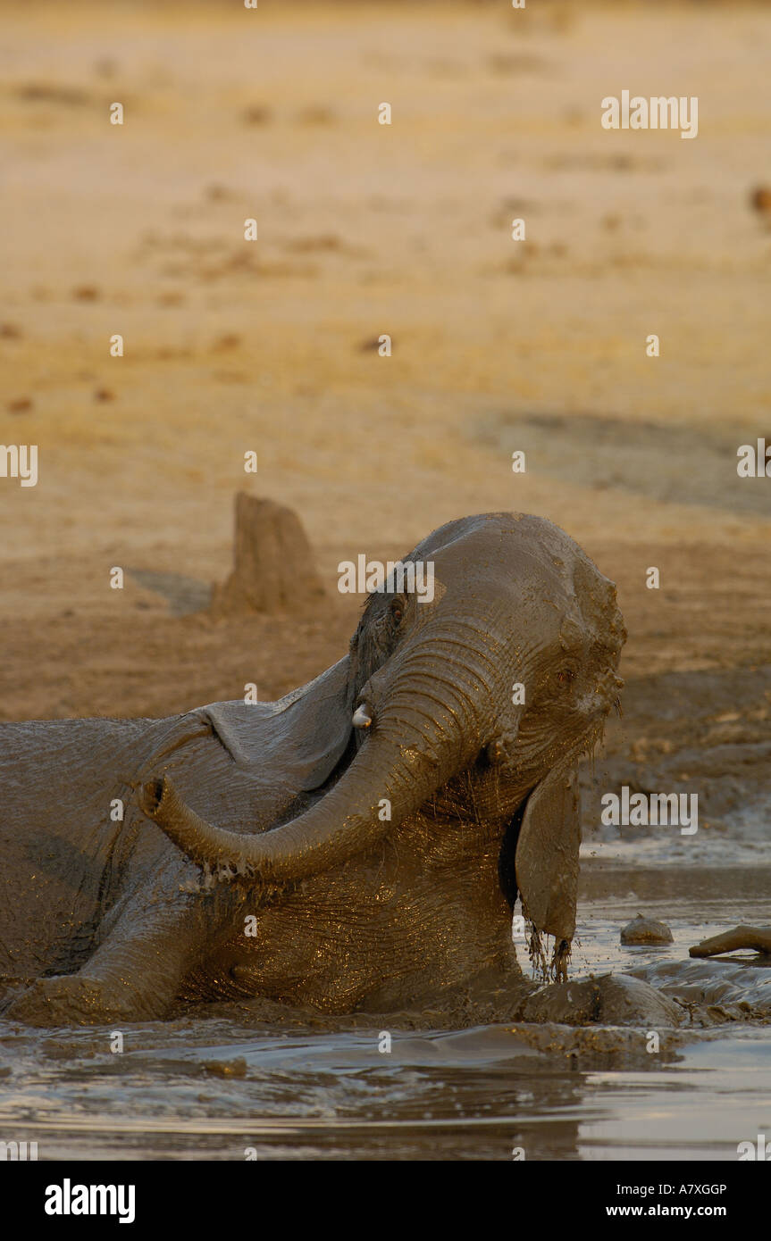 Makalolo hi-res stock photography and images - Alamy