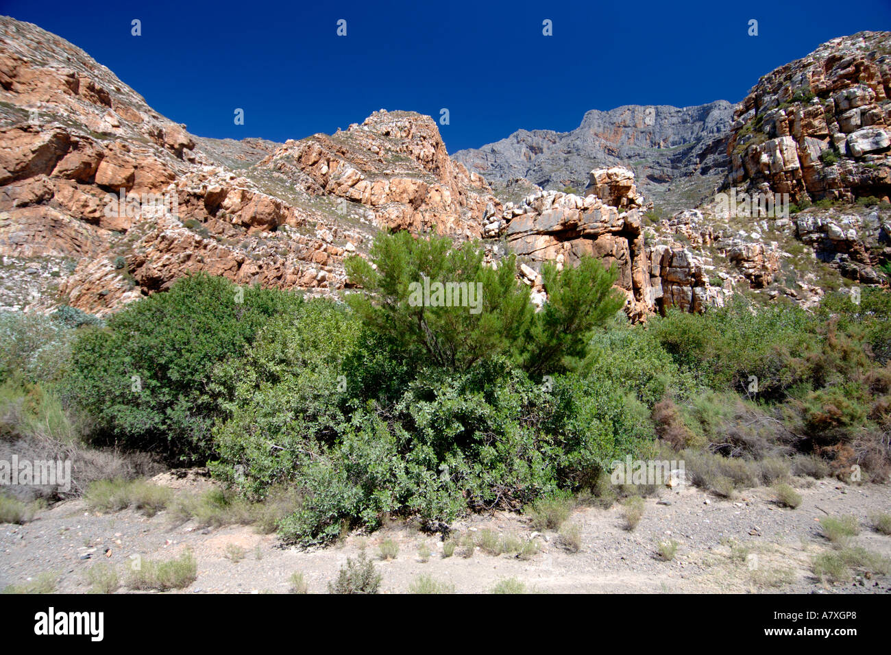 Laingsburg hi-res stock photography and images - Alamy