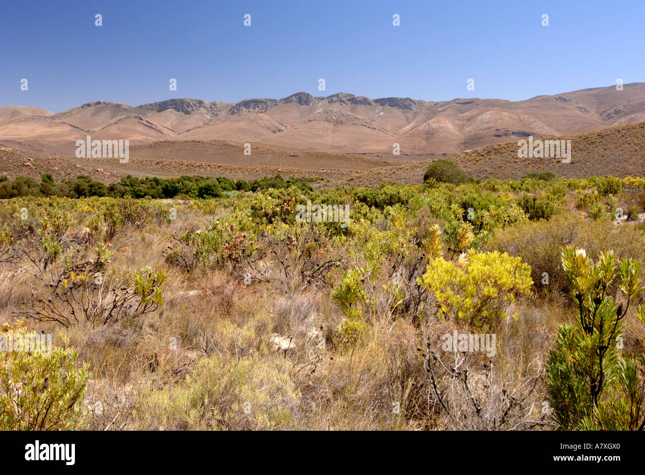 The Groot Swartberge mountain range between Calitzdorp and Laingsburg ...
