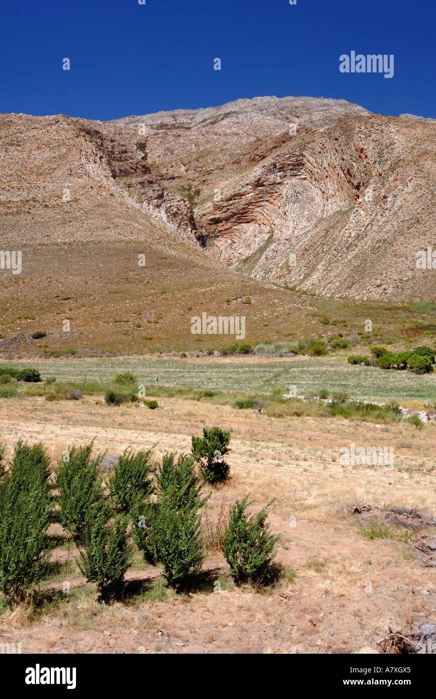 Swartberge hi-res stock photography and images - Alamy