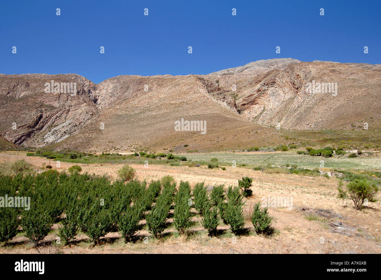Swartberge hi-res stock photography and images - Alamy