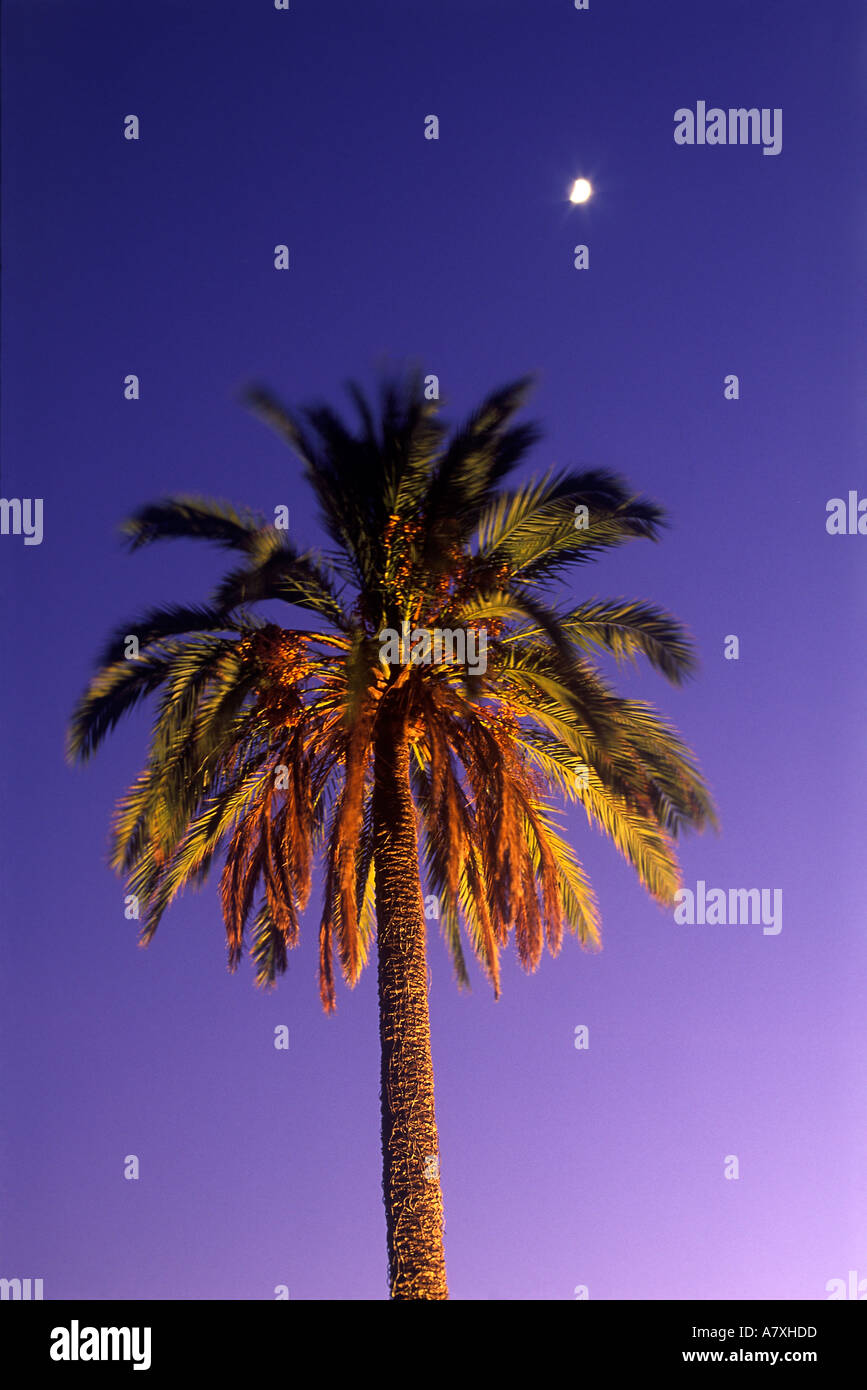 Single moon hi-res stock photography and images - Alamy