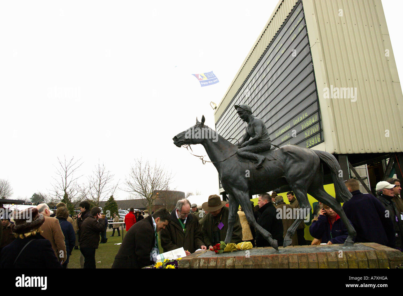 Horseracing cheltenham hi-res stock photography and images - Alamy