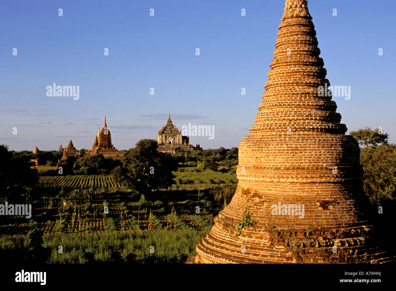 Asia, Myanmar, Bagan. Stupa and temples in the distance Stock Photo - Alamy