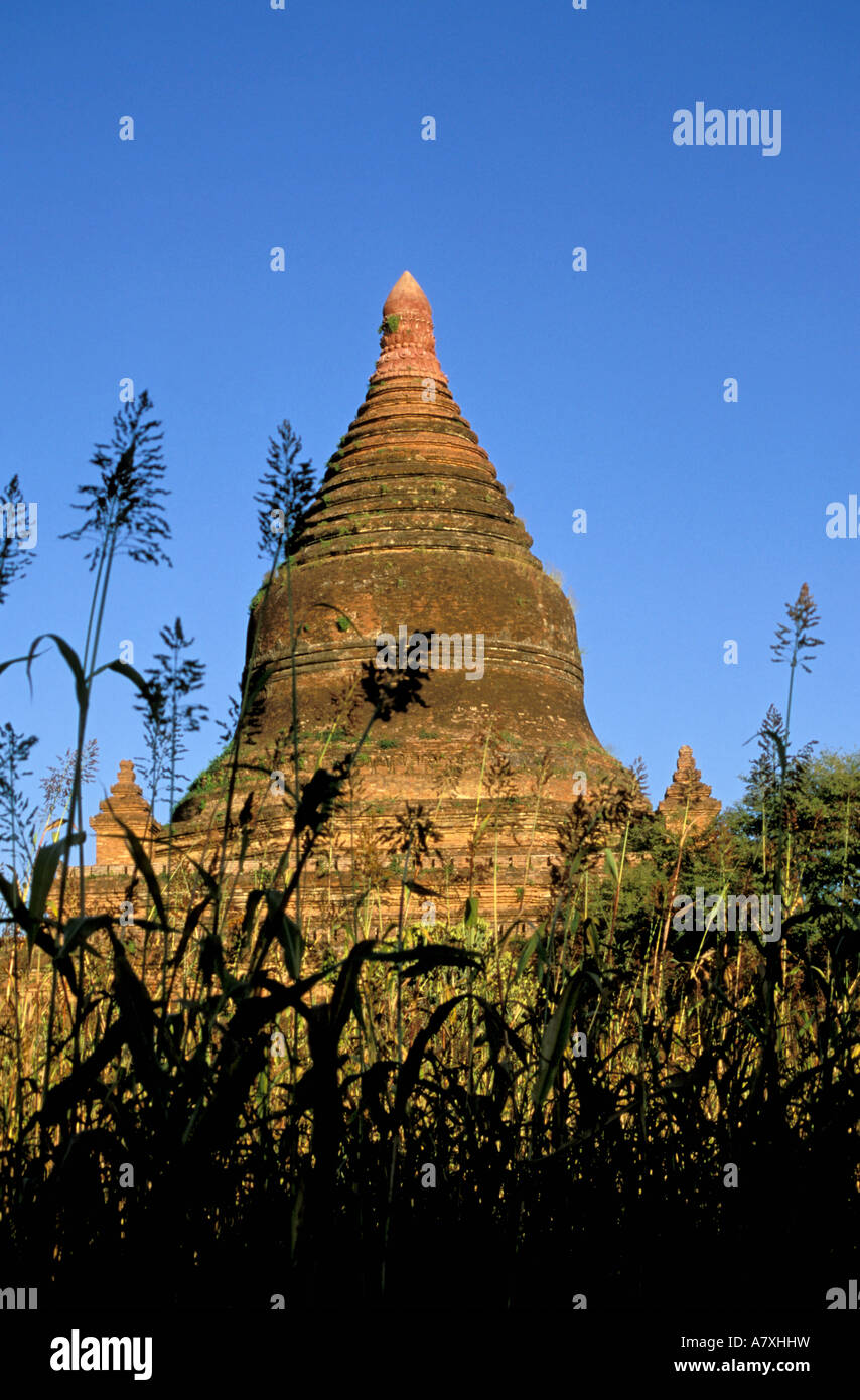 Asia, Myanmar, Bagan. Temple seen through tall grass Stock Photo - Alamy