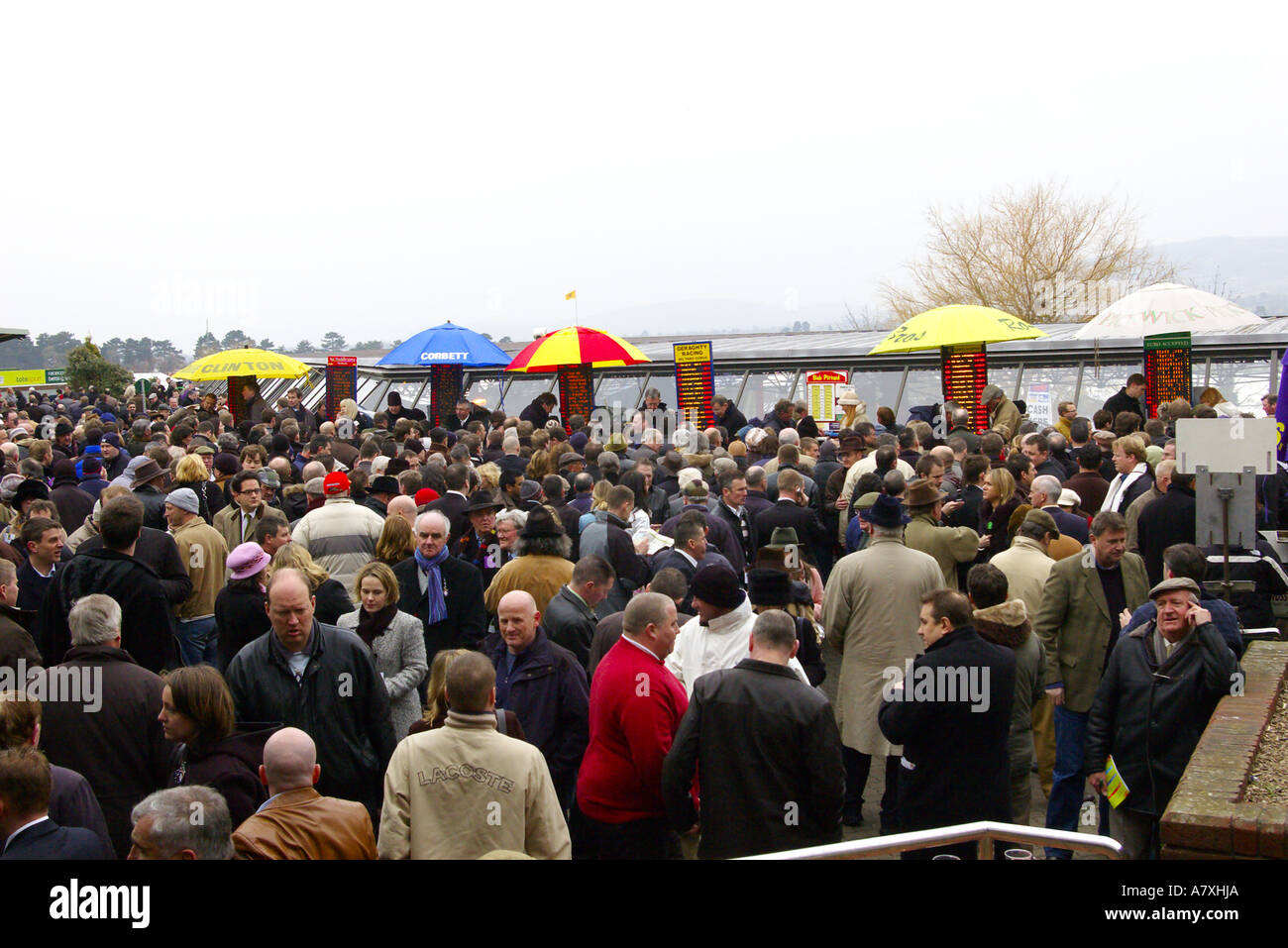 People are queing for betting at bookies at Cheltenham race course ...