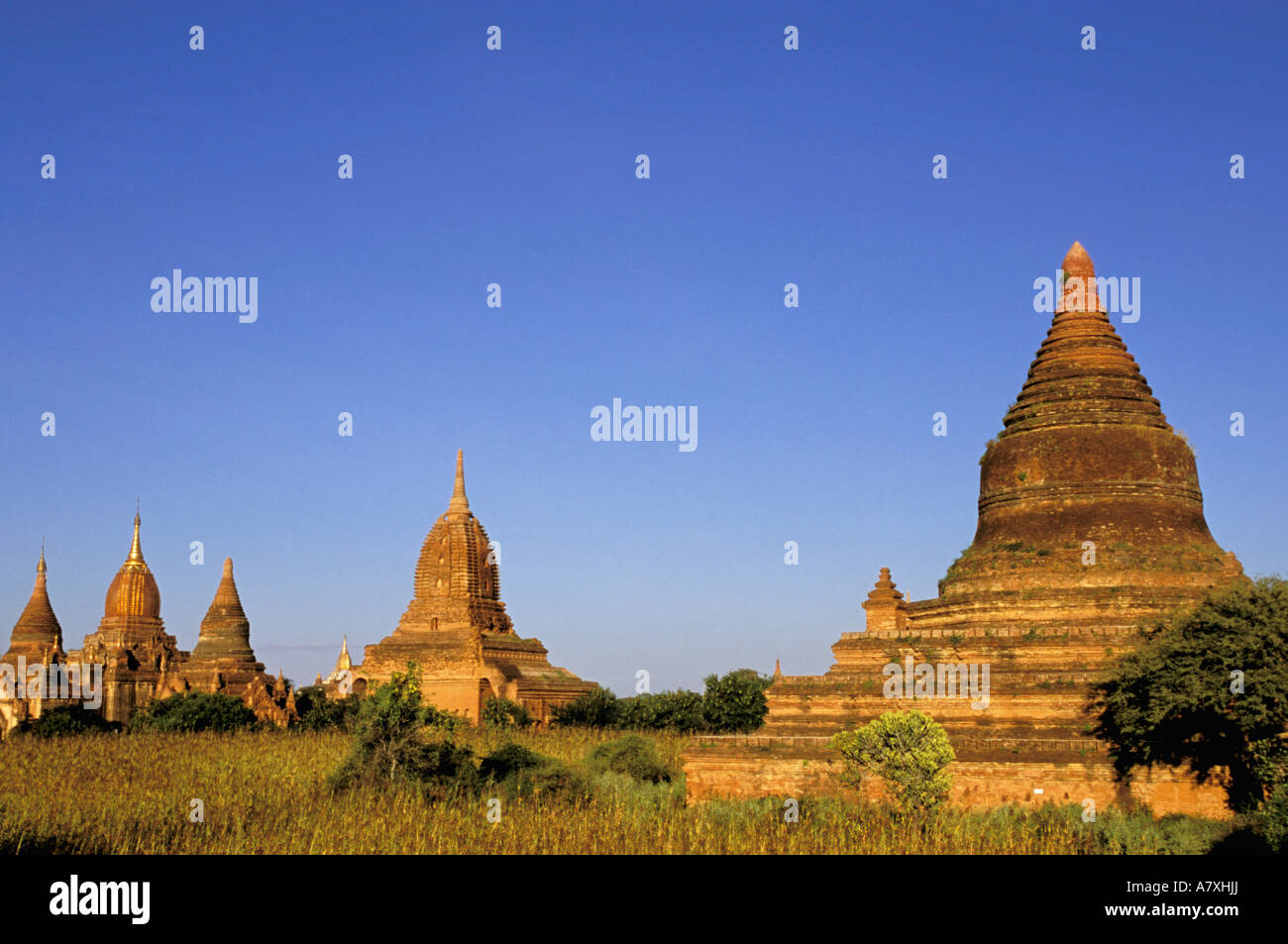 Asia, Myanmar, Bagan. Stupa and temples in the distance Stock Photo - Alamy