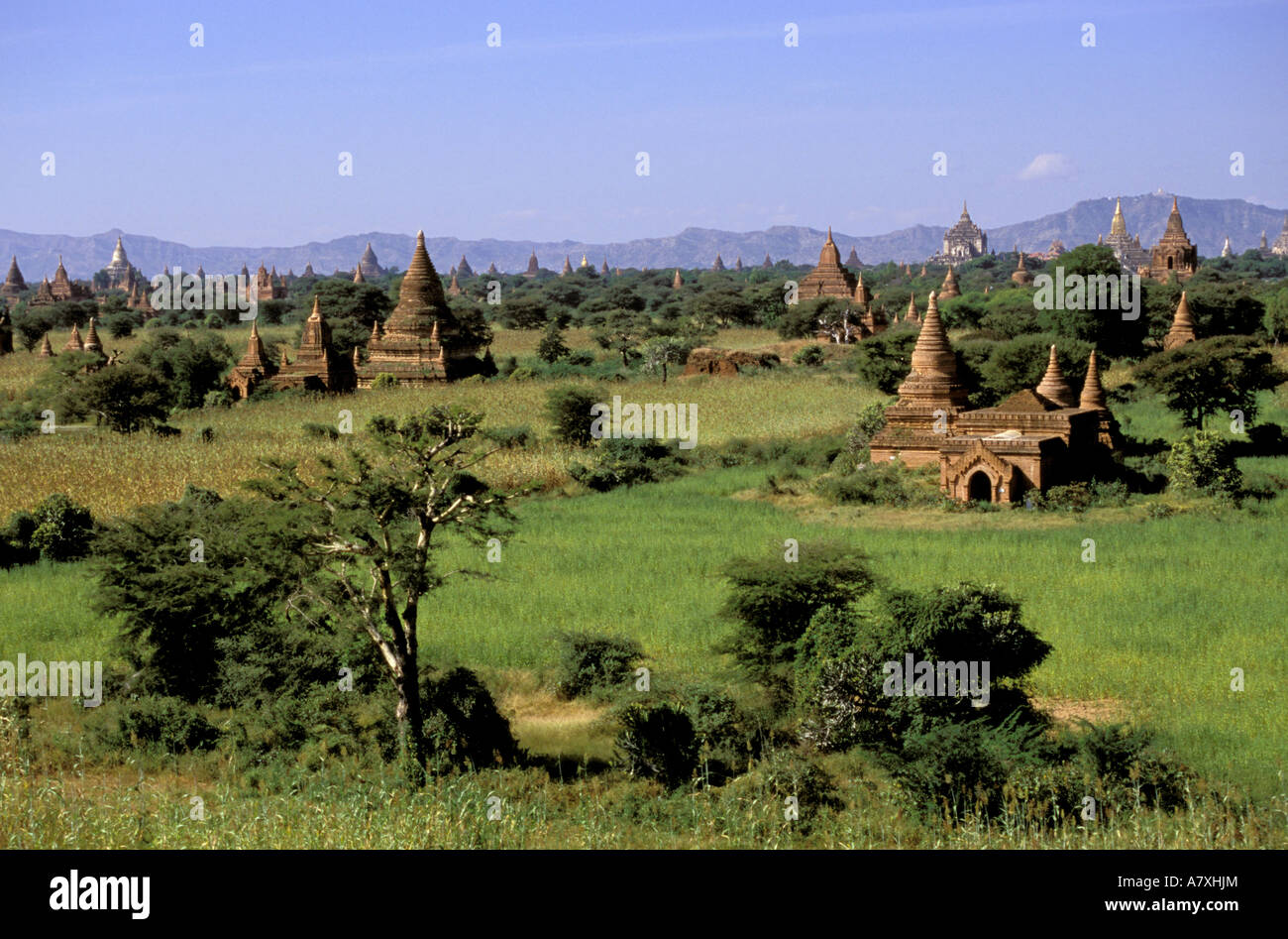 Asia, Myanmar, Bagan. Ancient temples of Bagan Stock Photo - Alamy