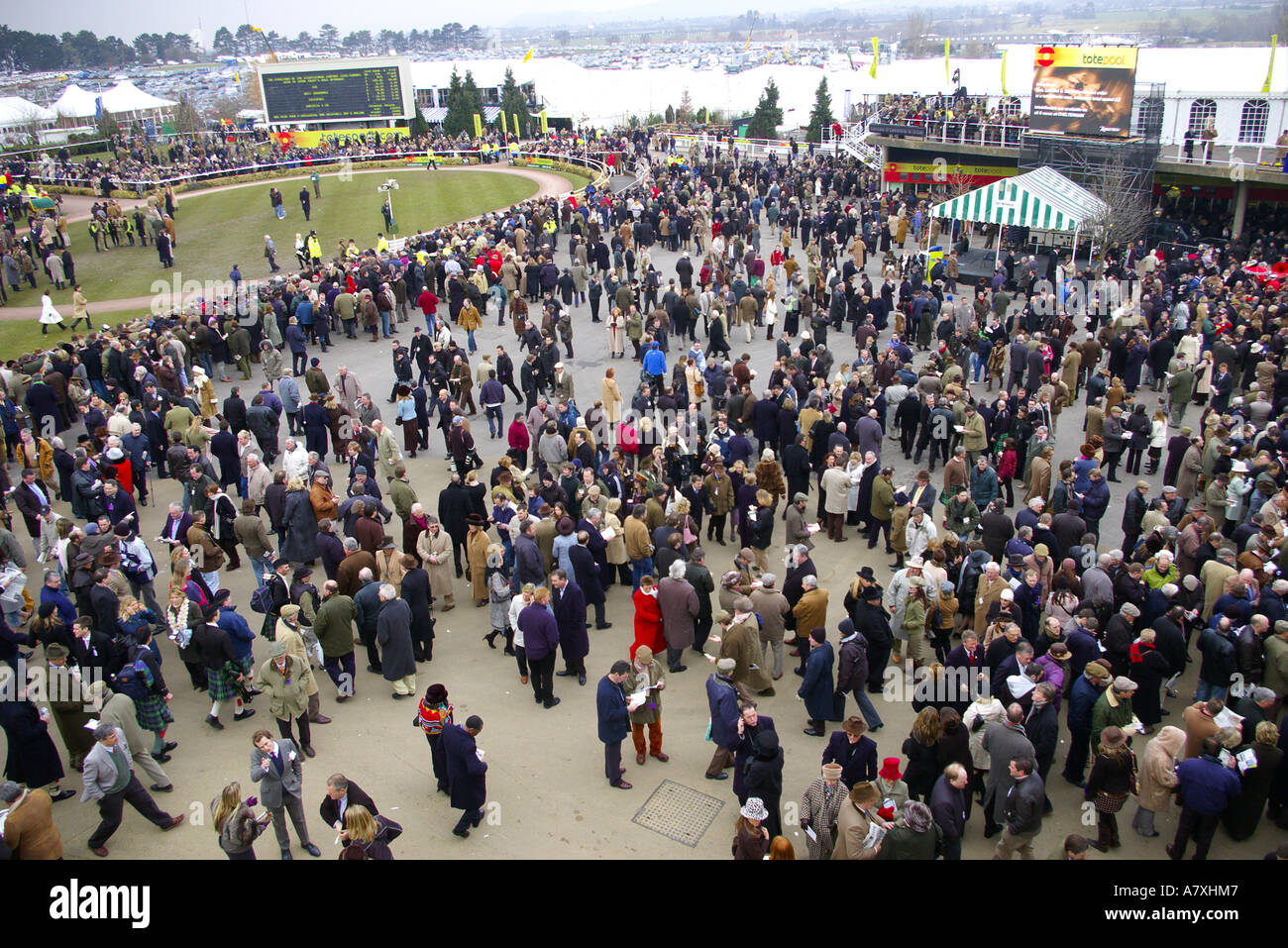 Action crowds finish hi-res stock photography and images - Alamy