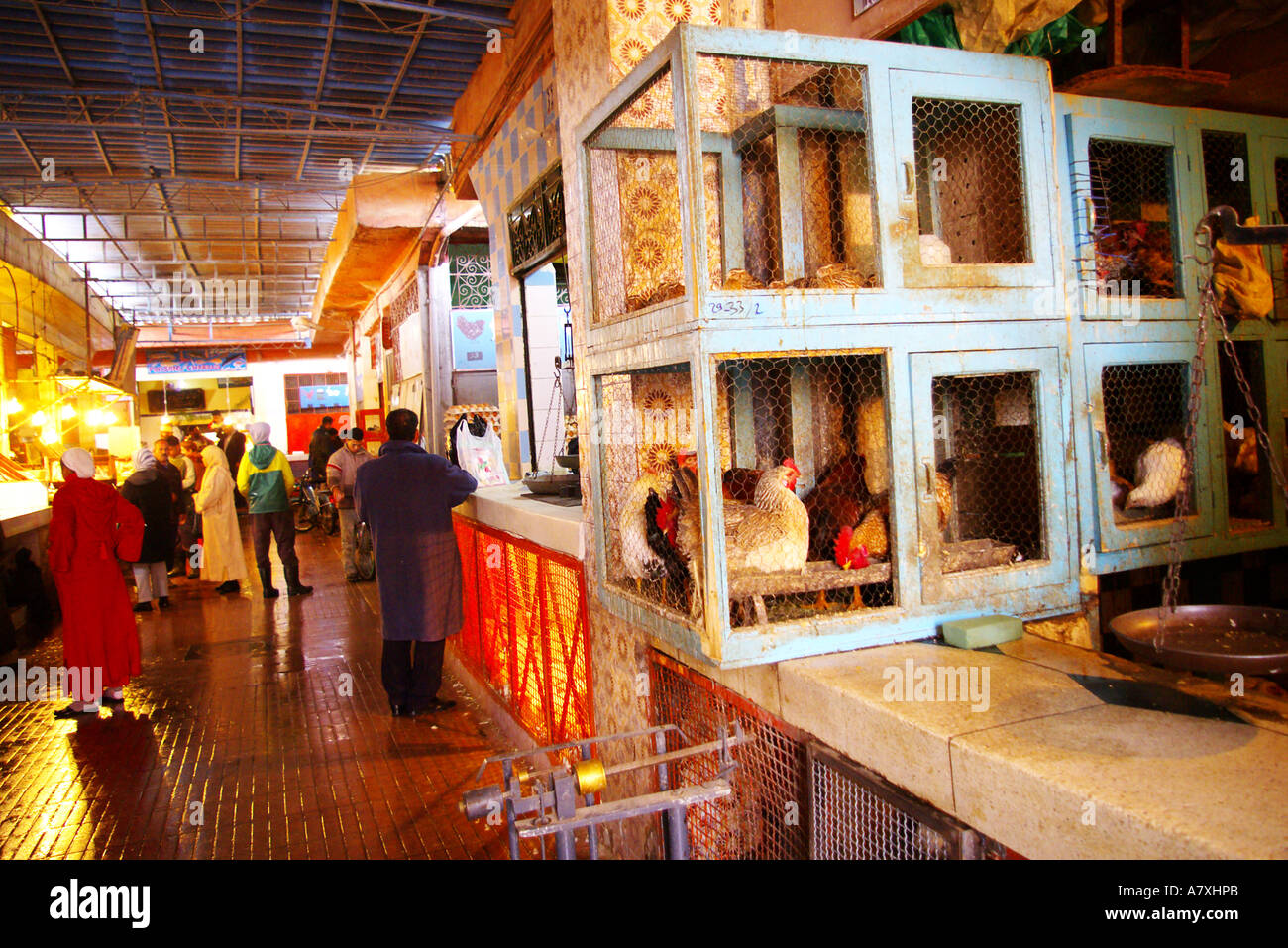 Poultry enterprise hi-res stock photography and images - Alamy
