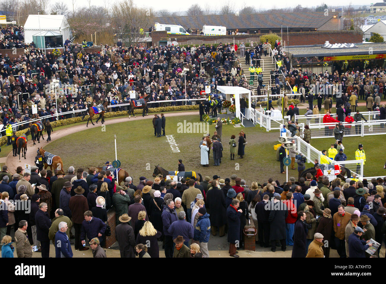 Cheltenham parade ring hi-res stock photography and images - Alamy