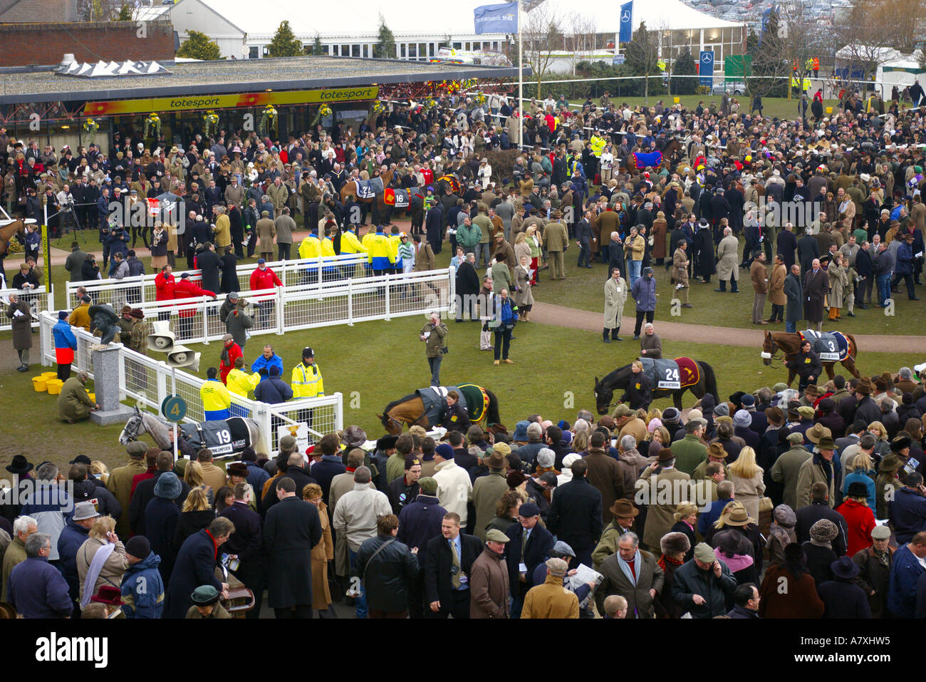 Cheltenham parade ring hi-res stock photography and images - Alamy
