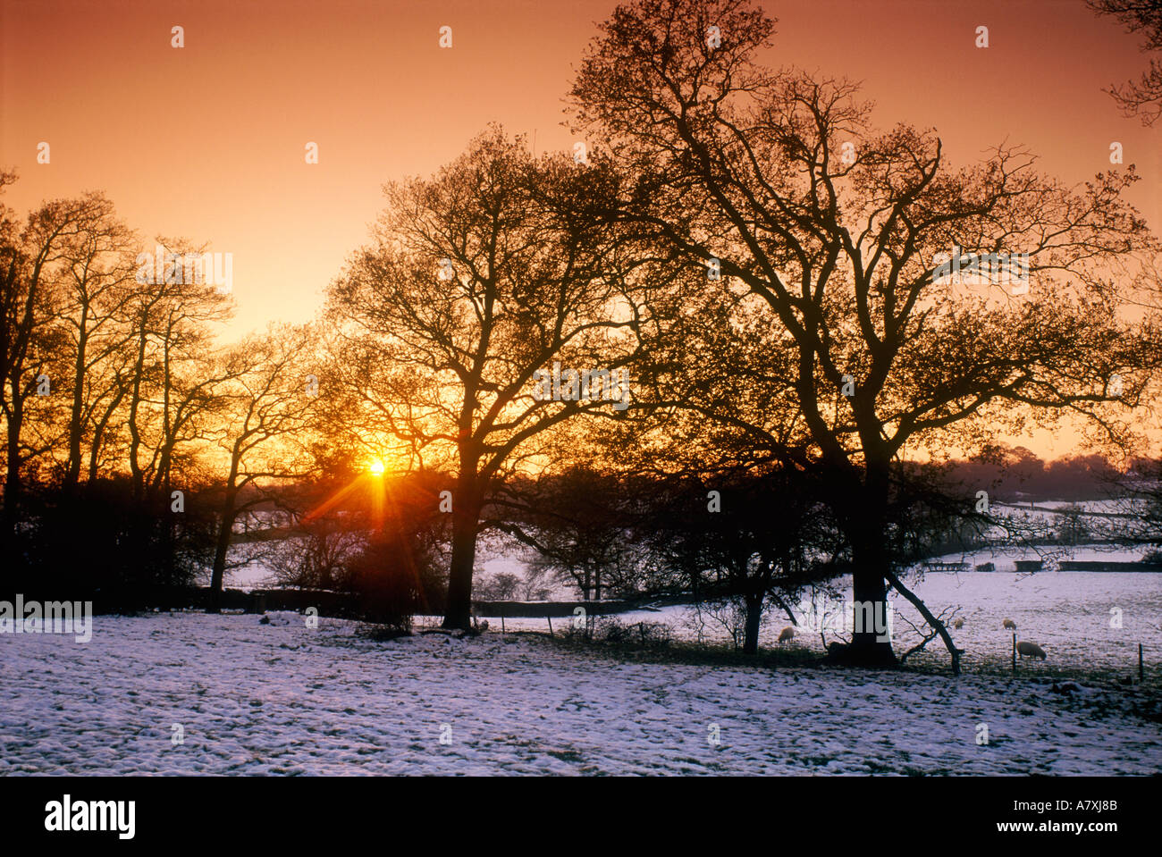 Sussex countryside snow hi-res stock photography and images - Alamy