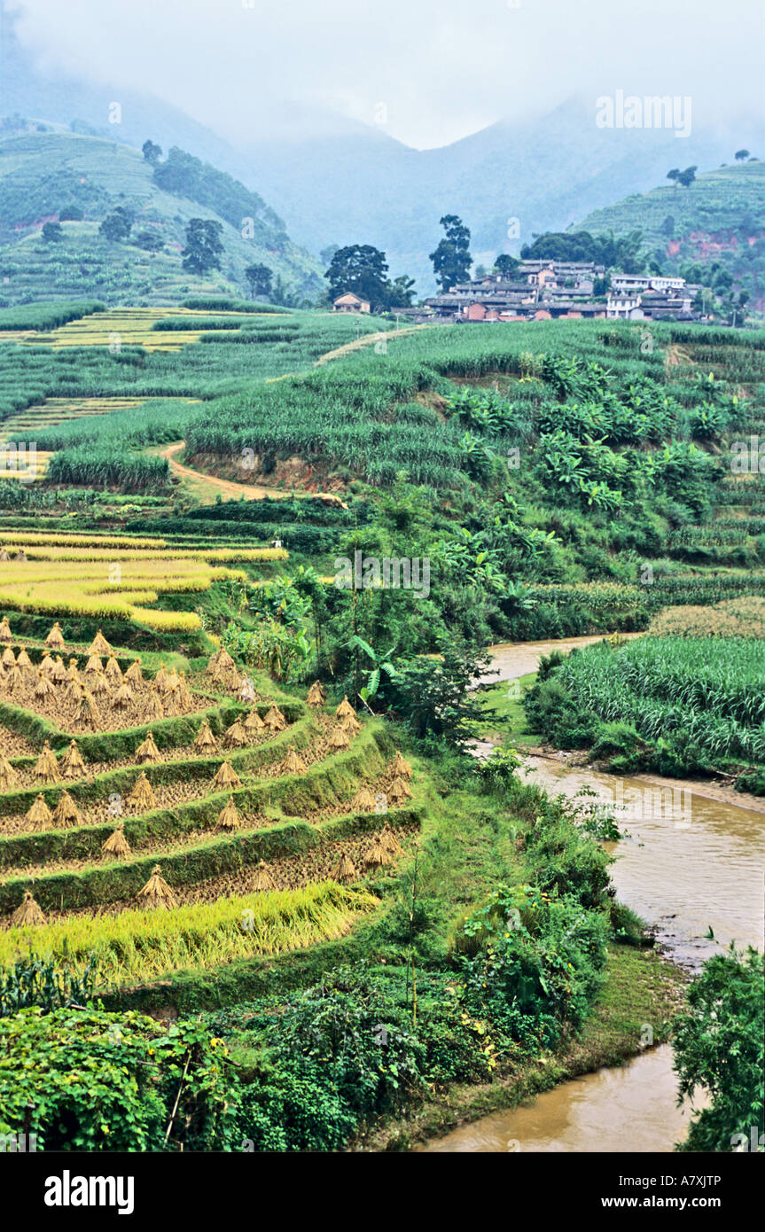Asia, China, Yunnan, Simao Region, Jinggu. Autumn farm scene with river ...
