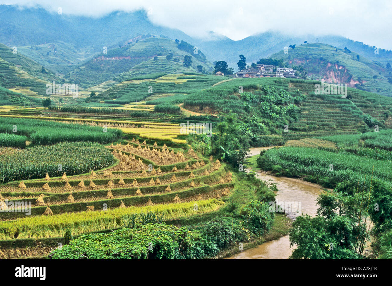 Asia, China, Yunnan, Simao Region, Jinggu. Autumn farm scene with river ...