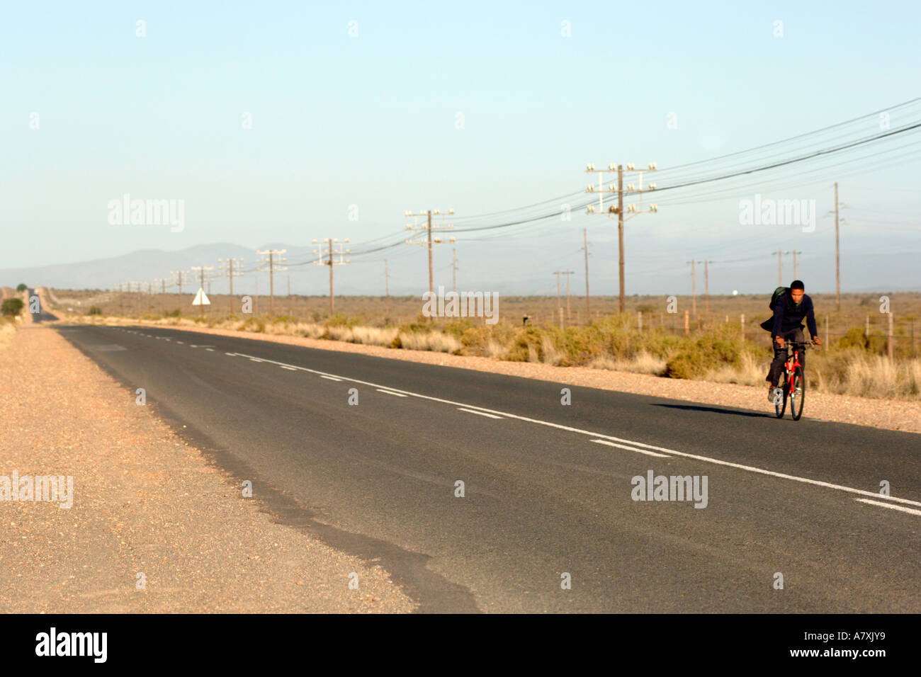 A cyclist on the R62 road leading to Oudtshoorn in the Karoo region of ...