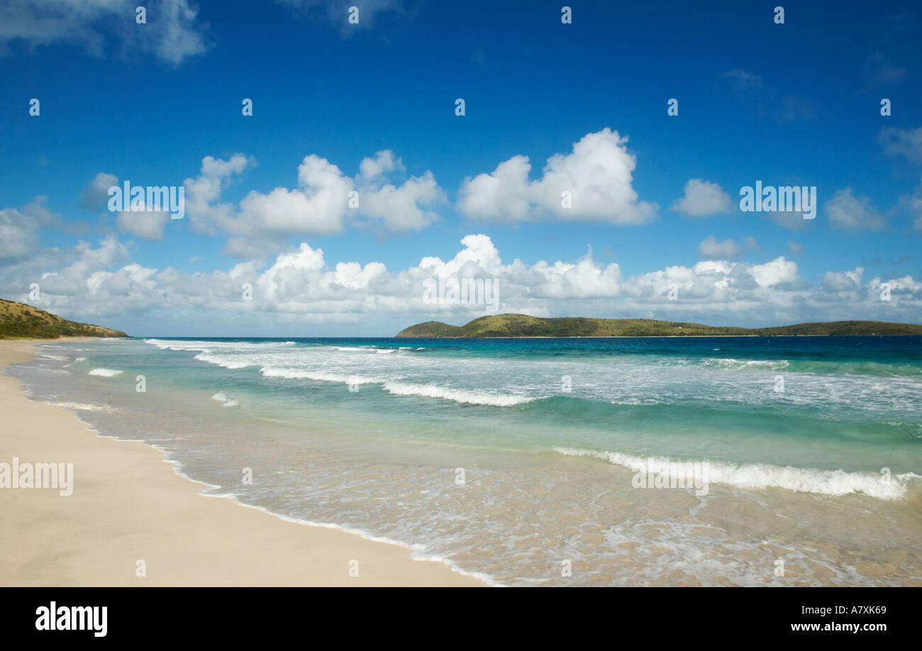 PUERTO RICO Culebra Playa Zoni Zoni beach on east side of island long ...