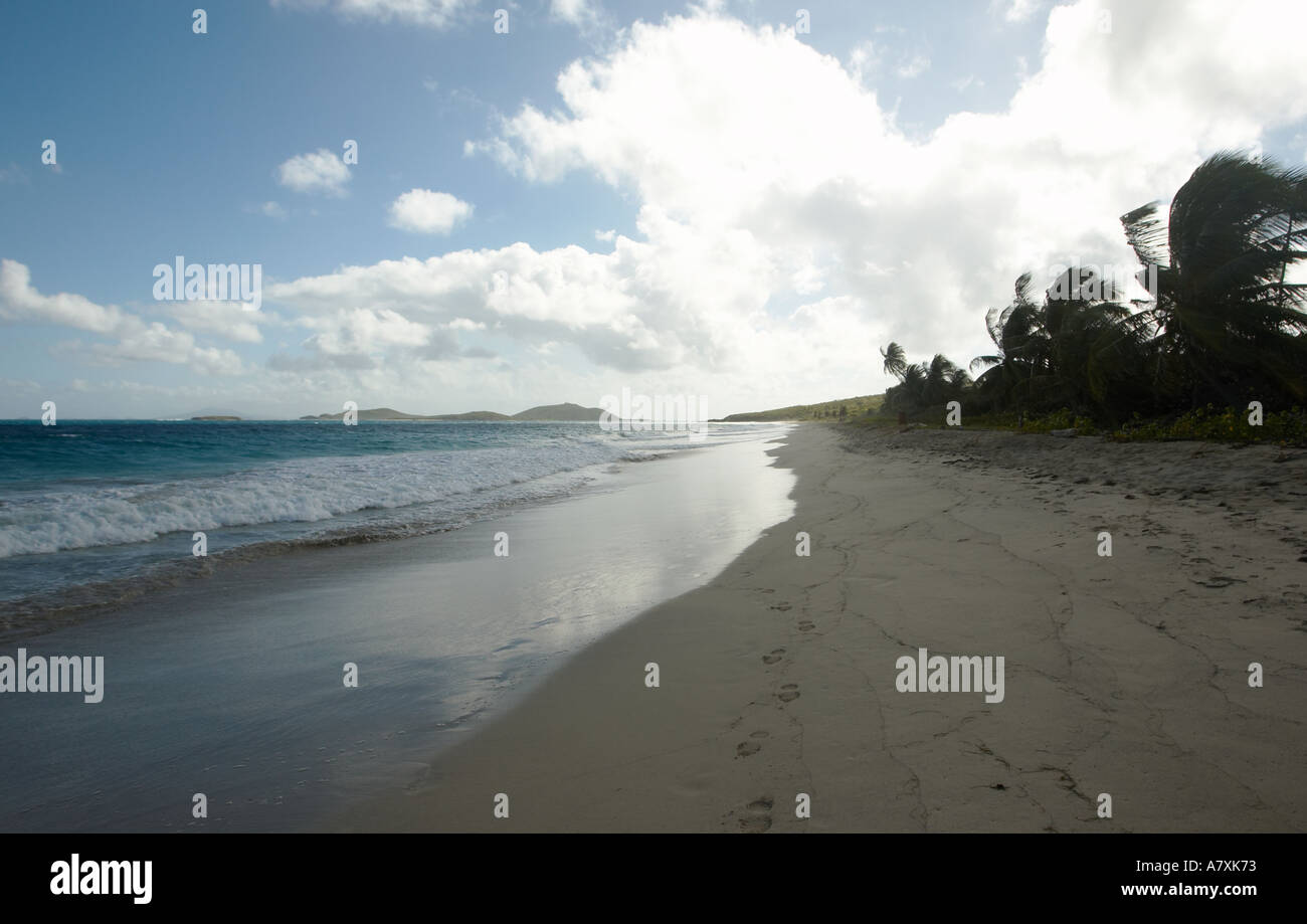 PUERTO RICO Culebra Playa Zoni Zoni beach on east side of island foot ...