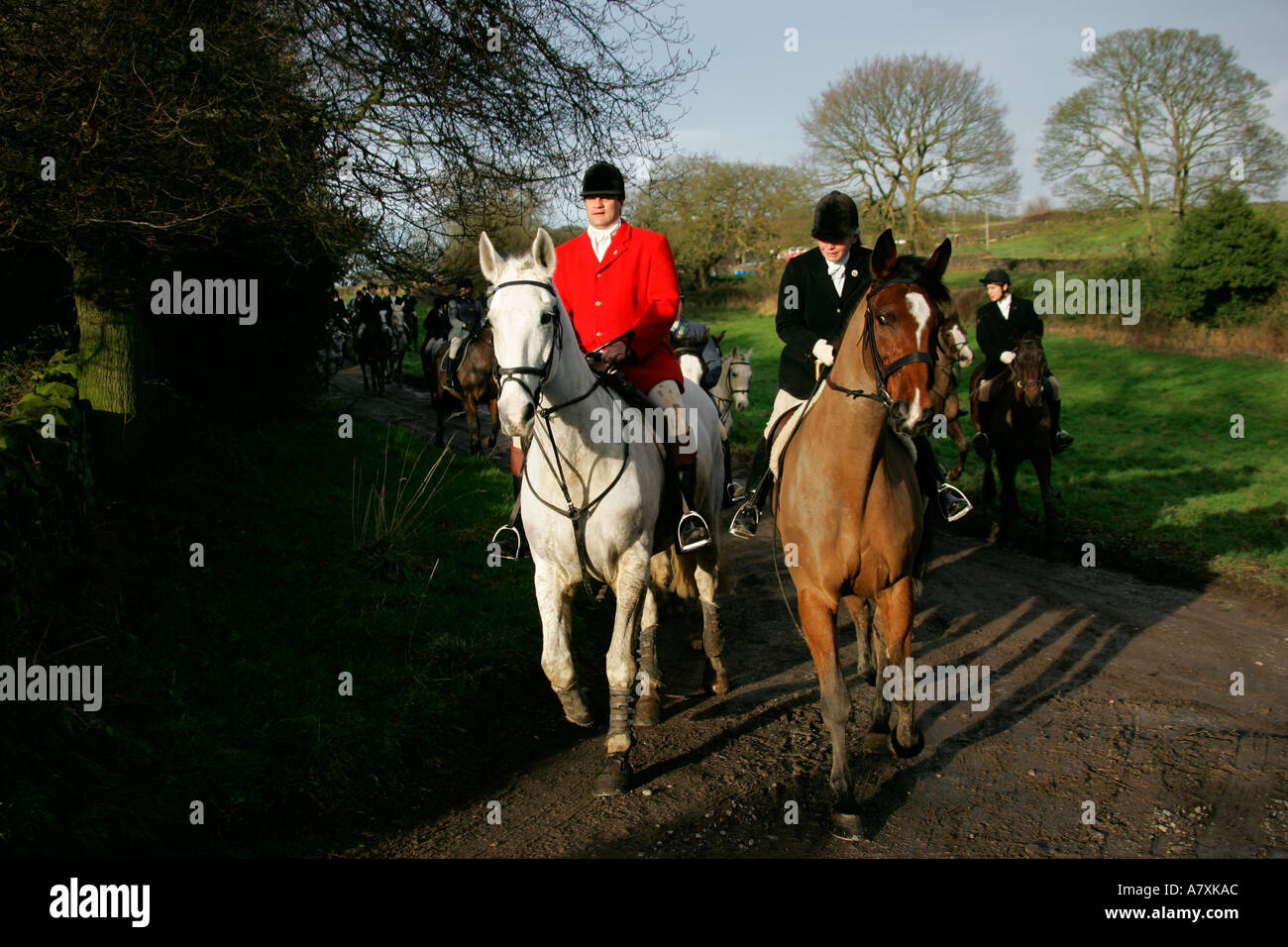 Fox hunting in England Stock Photo - Alamy