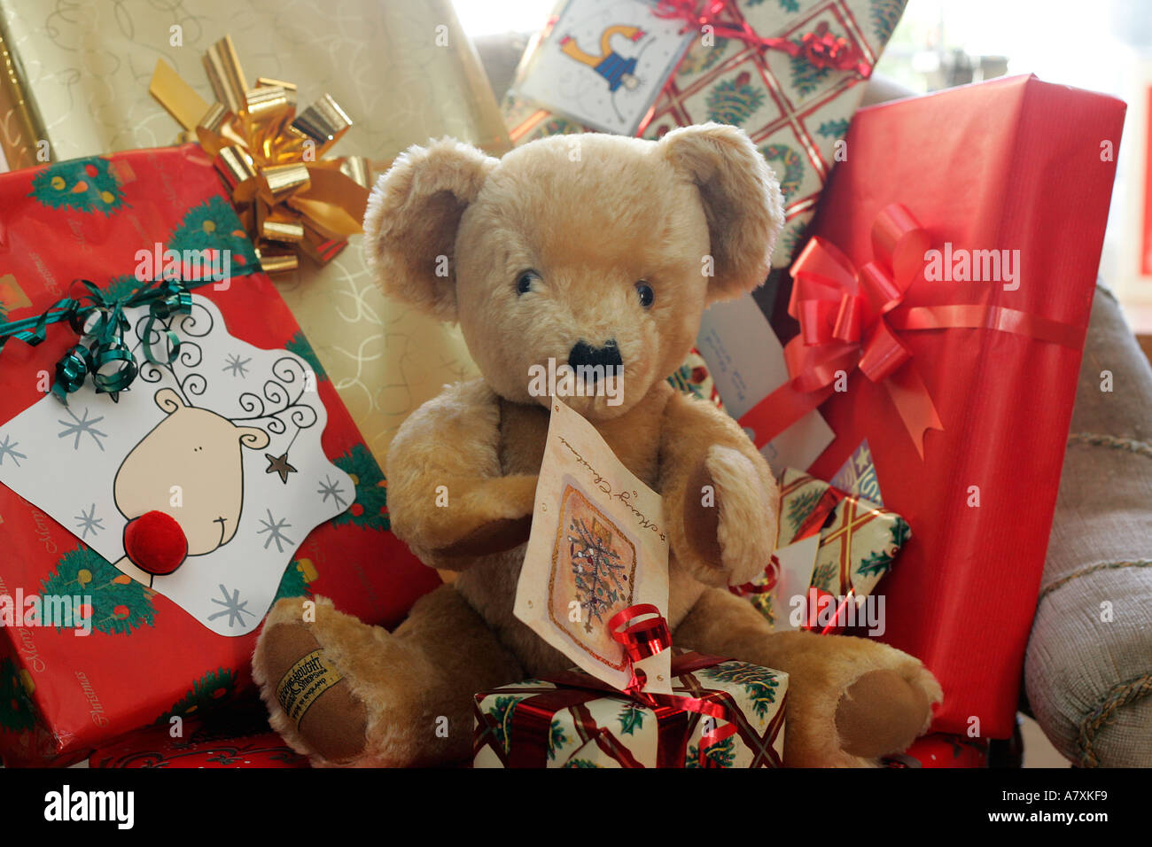 Gold teddy bear hi-res stock photography and images - Alamy