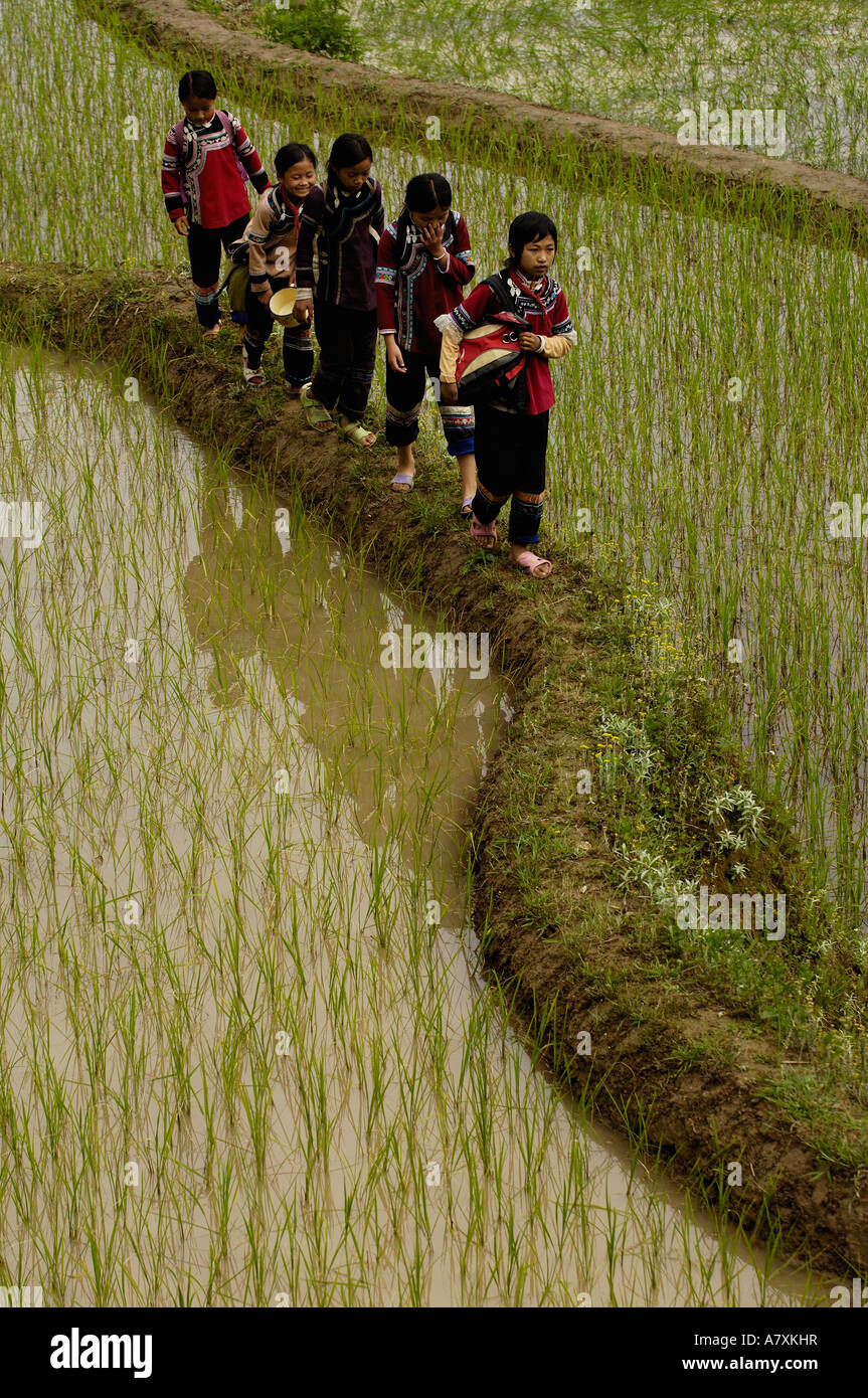 Yi Ethnic minority people & rice terraces. Yuanyang, Honghe Prefecture ...