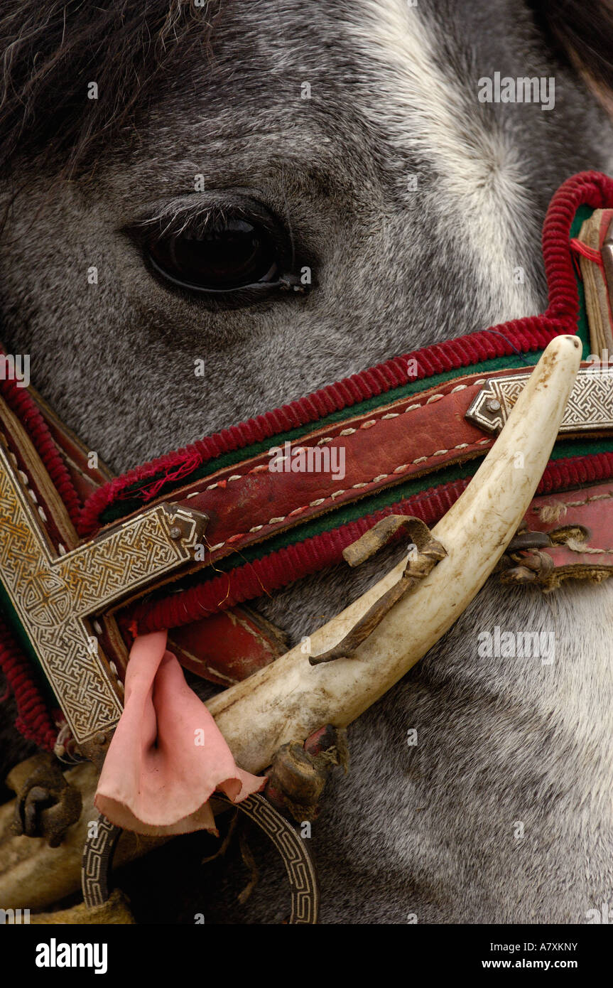 Heavenly steed festival hi-res stock photography and images - Alamy
