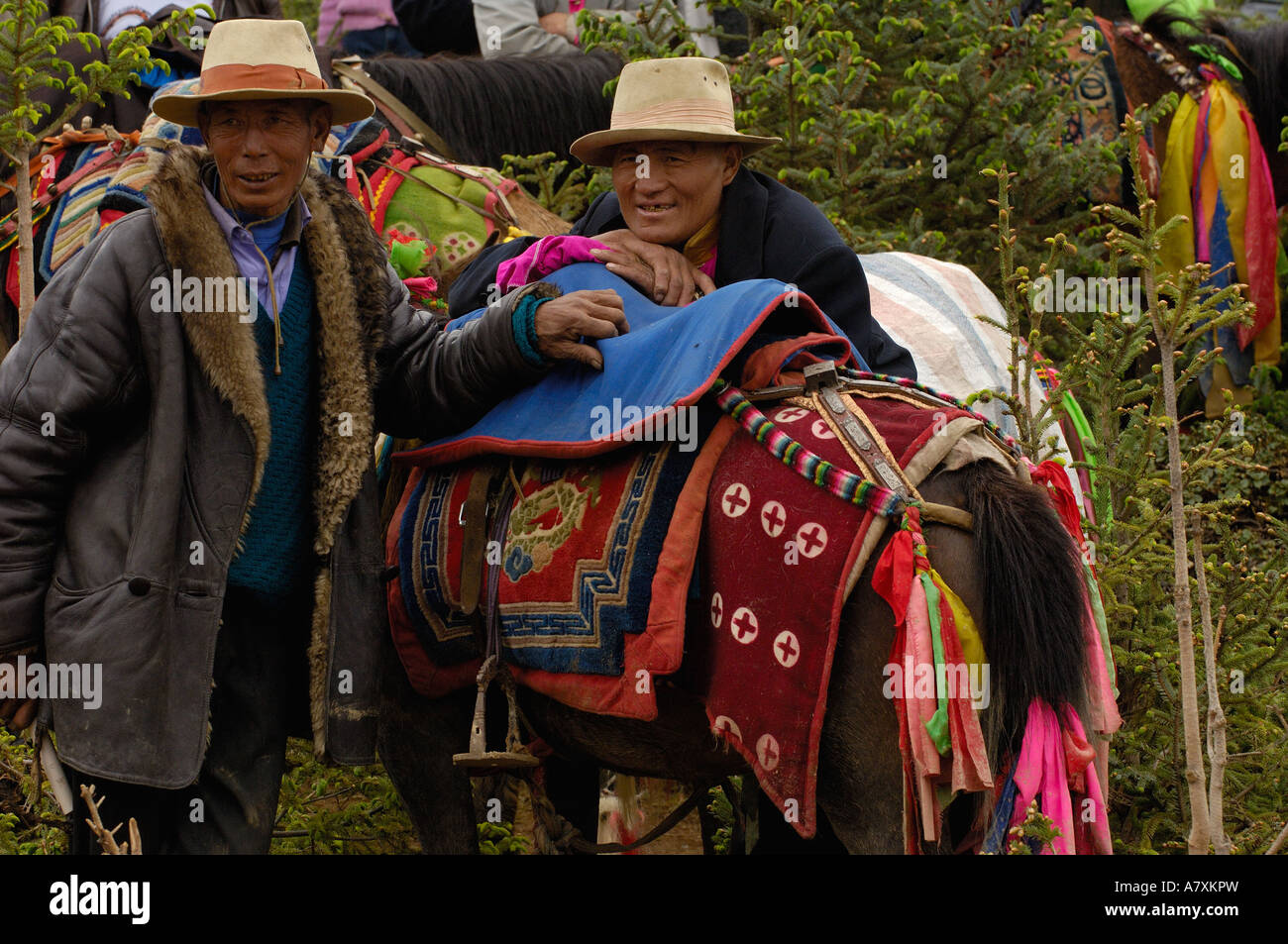 Heavenly steed festival hi-res stock photography and images - Alamy