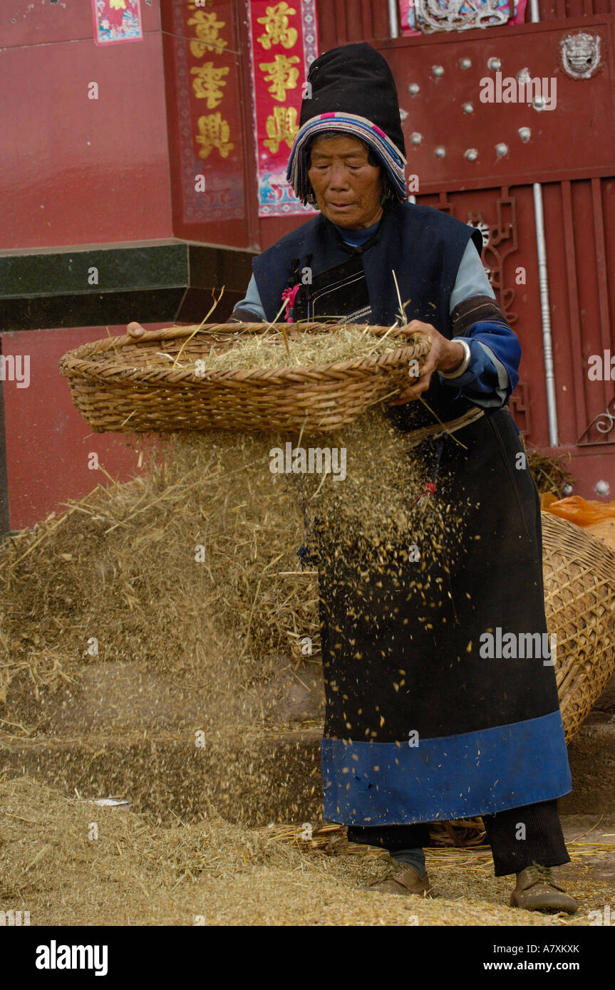 Woman winnowing wheat hi-res stock photography and images - Alamy