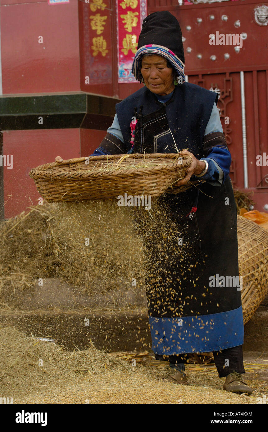 Woman winnowing wheat hi-res stock photography and images - Alamy