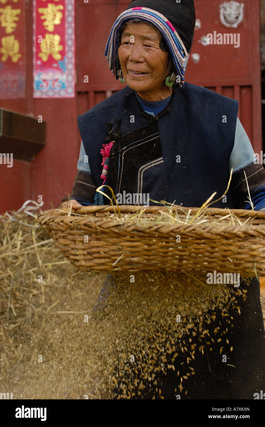 Woman winnowing wheat hi-res stock photography and images - Alamy