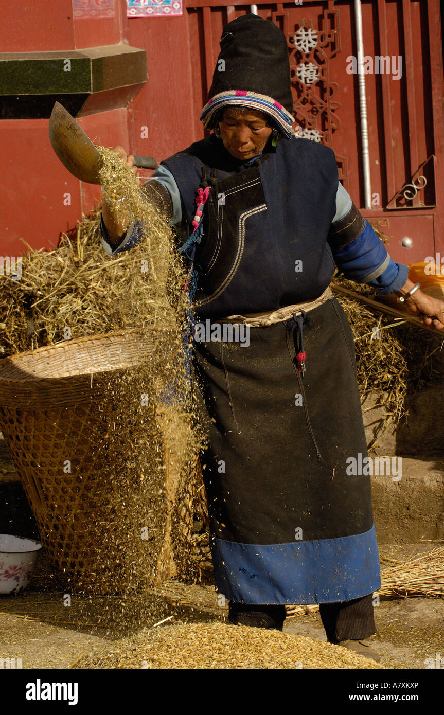Woman winnowing wheat hi-res stock photography and images - Alamy