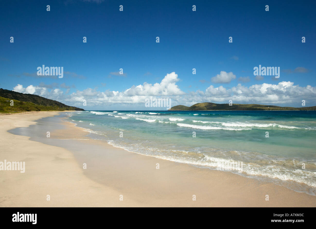 PUERTO RICO Culebra Playa Zoni Zoni beach on east side of island long ...