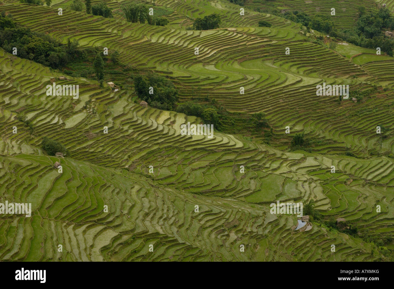 Ailao mountains hi-res stock photography and images - Alamy