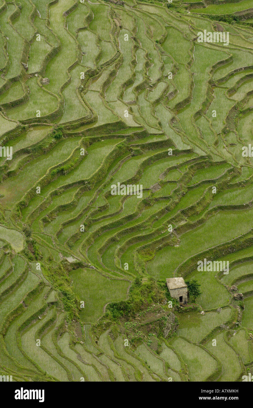 Ailao mountain hi-res stock photography and images - Alamy