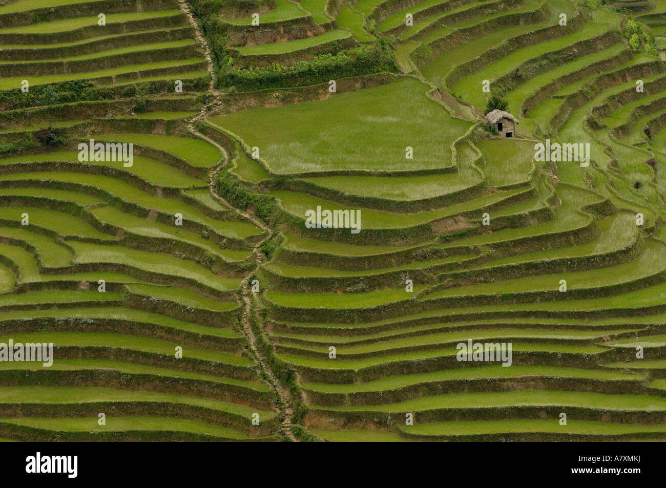 Ailao mountains hi-res stock photography and images - Alamy