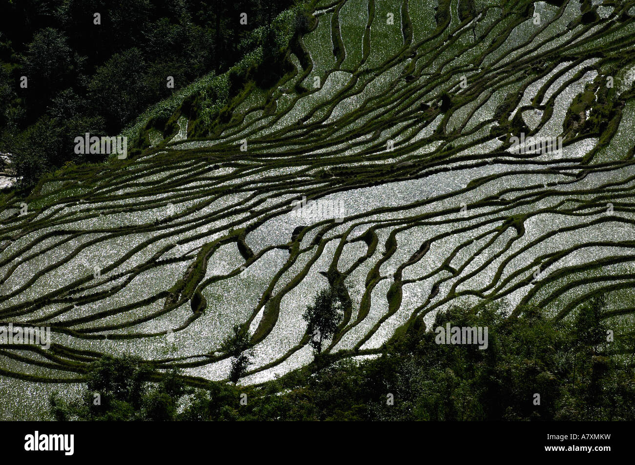 Ailao mountains hi-res stock photography and images - Alamy