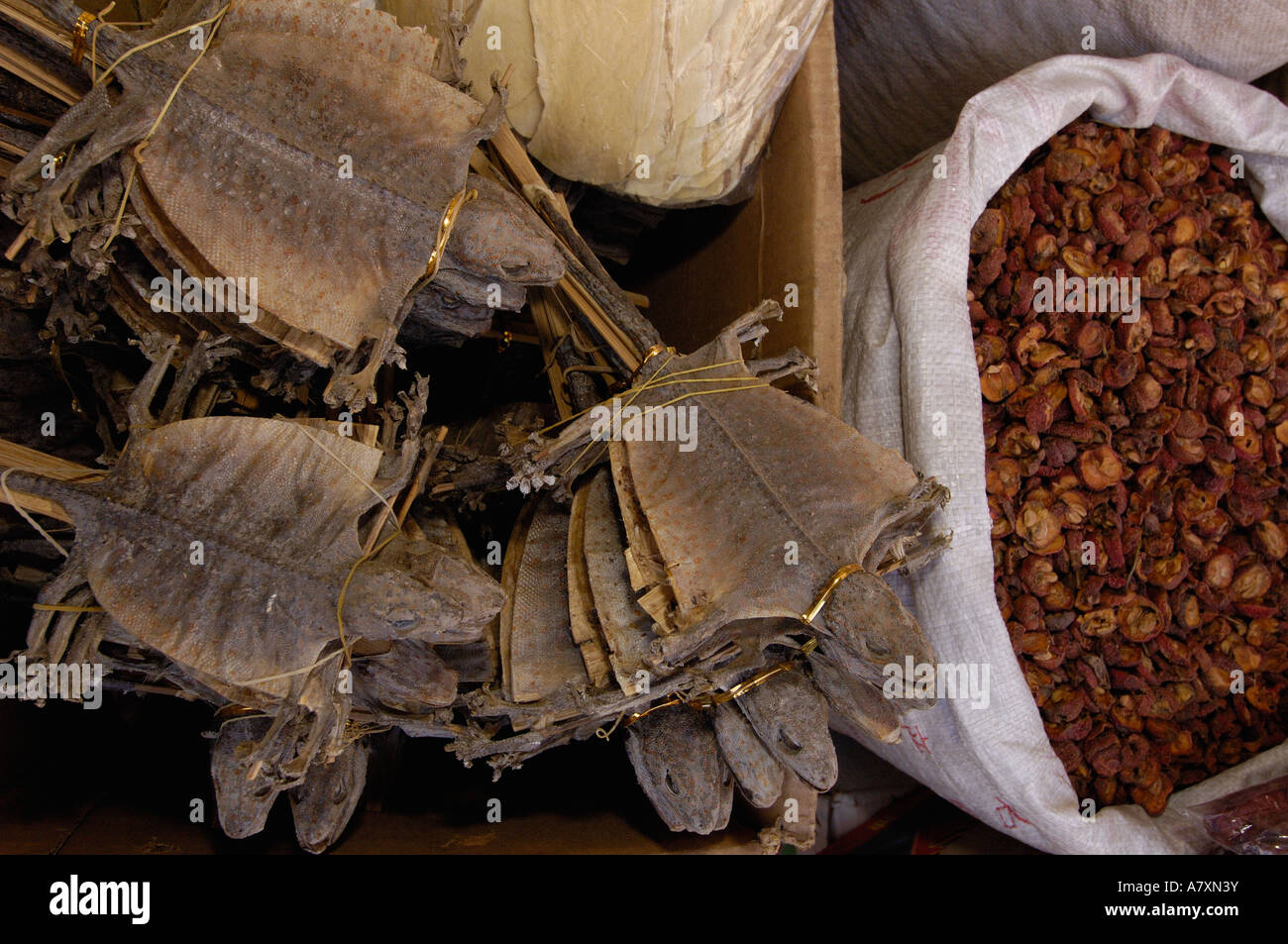Dried geckos at Kunming Traditional Medicine Market. Yunnan Province ...