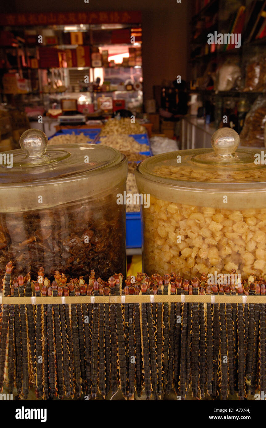 Dried centipedes in Kunming Traditional Medicine Market. Yunnan ...