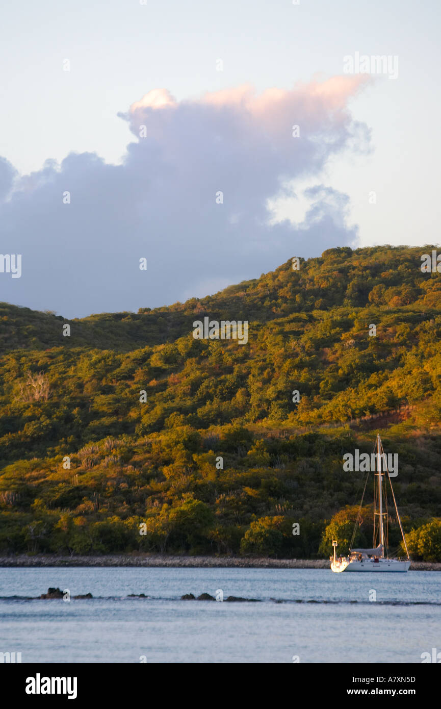 PUERTO RICO Culebra Tamarindo shoreline sailboat harbored in cove ...
