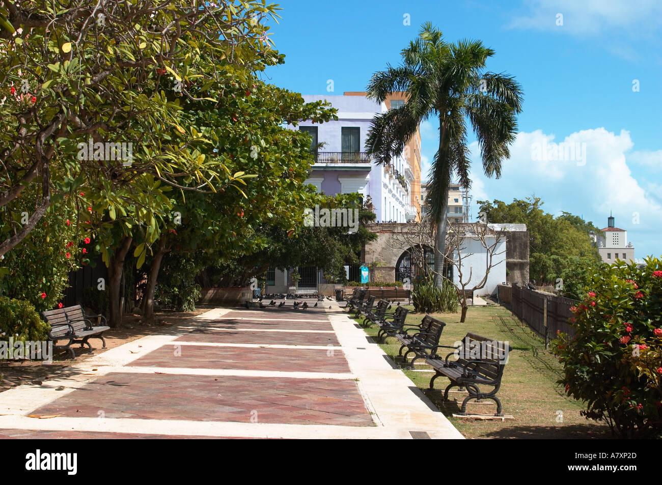 PUERTO RICO San Juan Parque de las Palomas Pigeon Park in Old San Juan ...