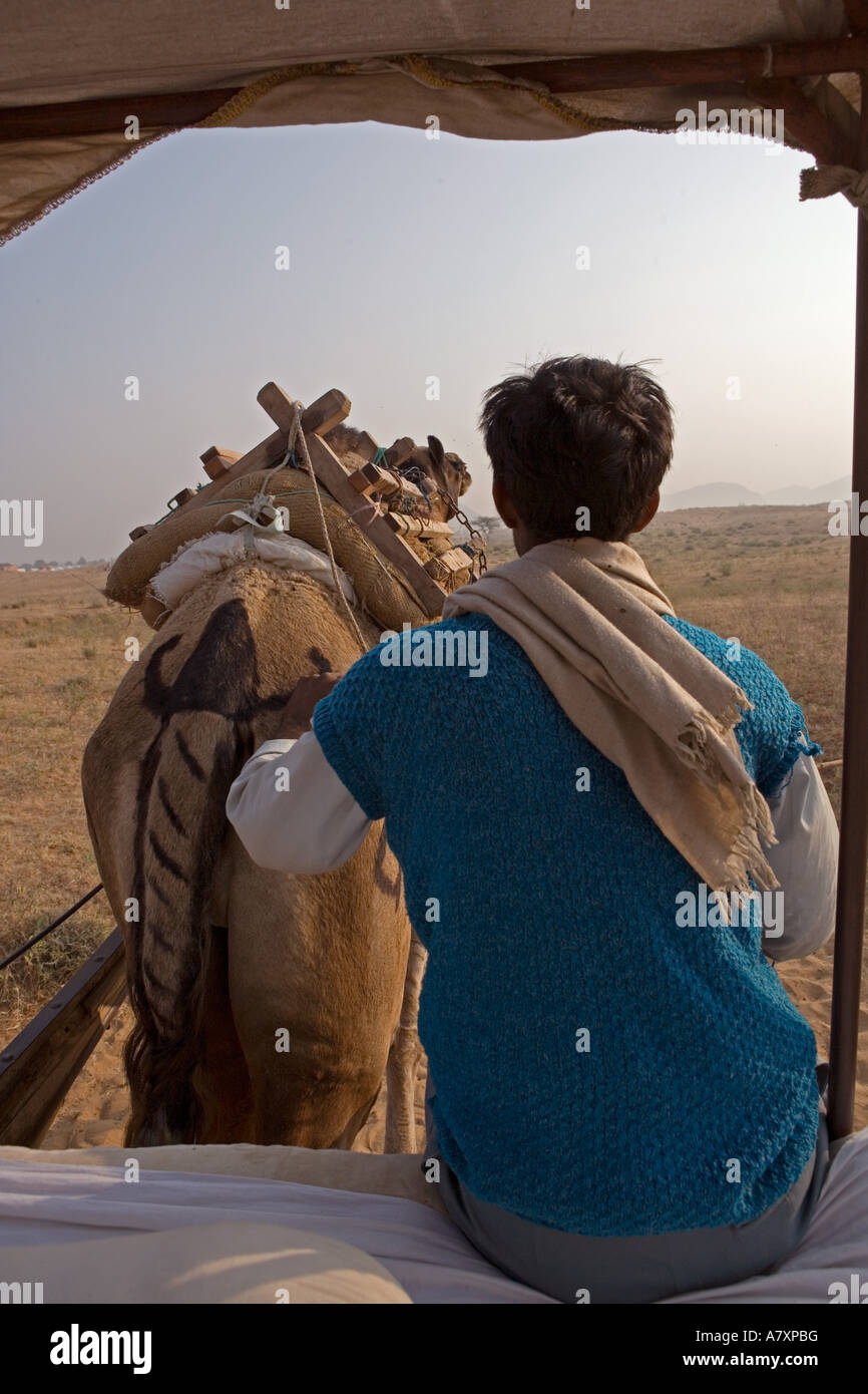 Camel Cart Driver High Resolution Stock Photography and Images - Alamy