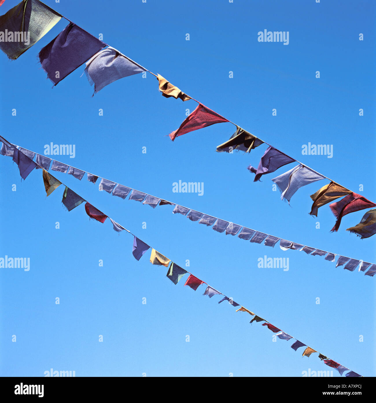 India,Northern, India, Sikkim, Rumtek Monastery. Prayer Flags flying ...