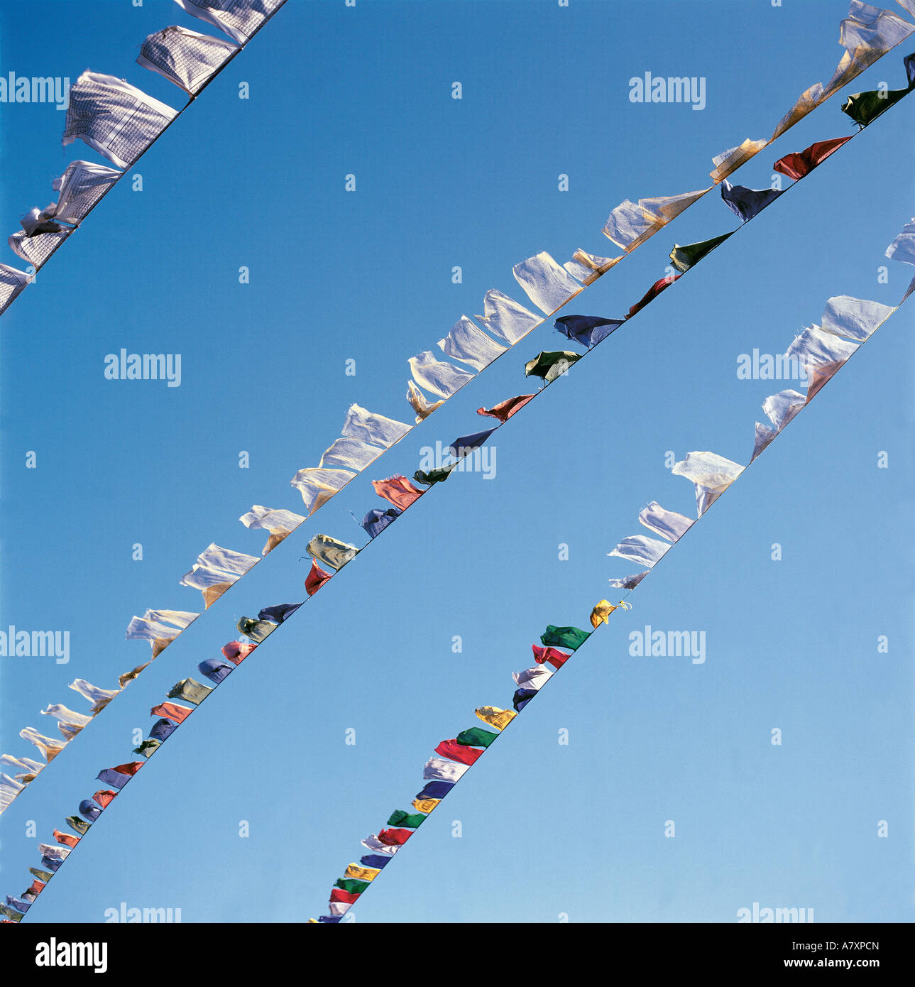 India, Sikkim, Rumtek. Prayer flags fly high at Rumtek Monastery Stock ...