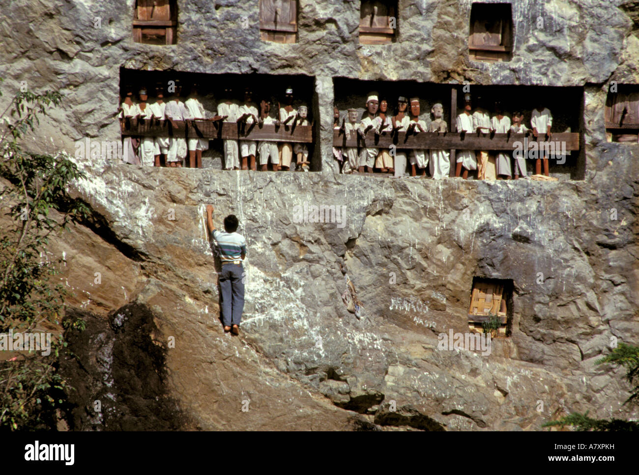 Asia, Indonesia, Sulawesi, Tana Toraja. Hanging cliffside graves ...