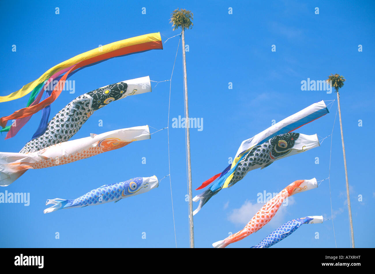Asia, Japan, Shizuoka, Mt. Fuji, Children's Day Koinobori (Carp Kite ...