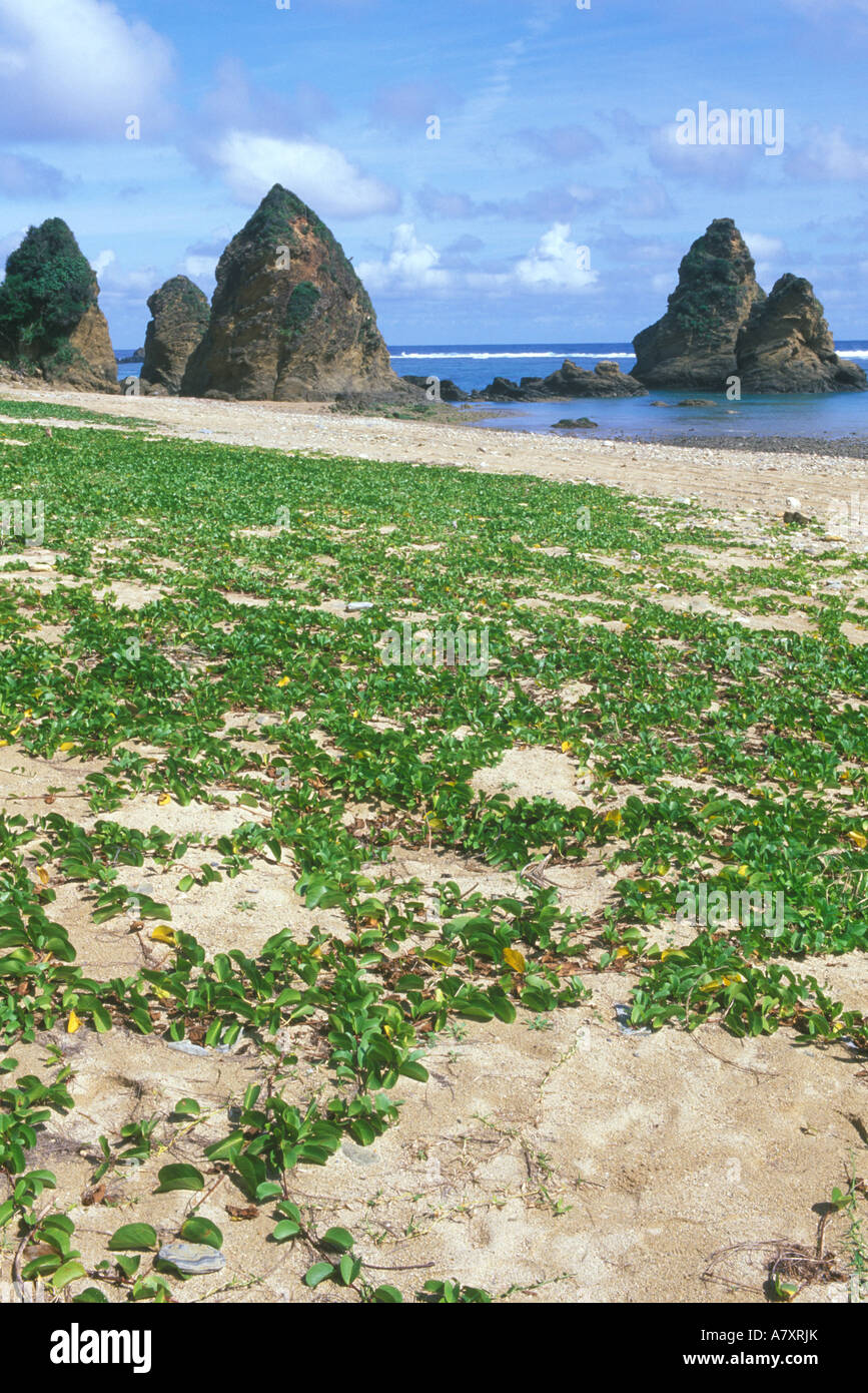 Asia, Japan, Okinawa, Yambaru Coastline, Sea Stacks Stock Photo - Alamy