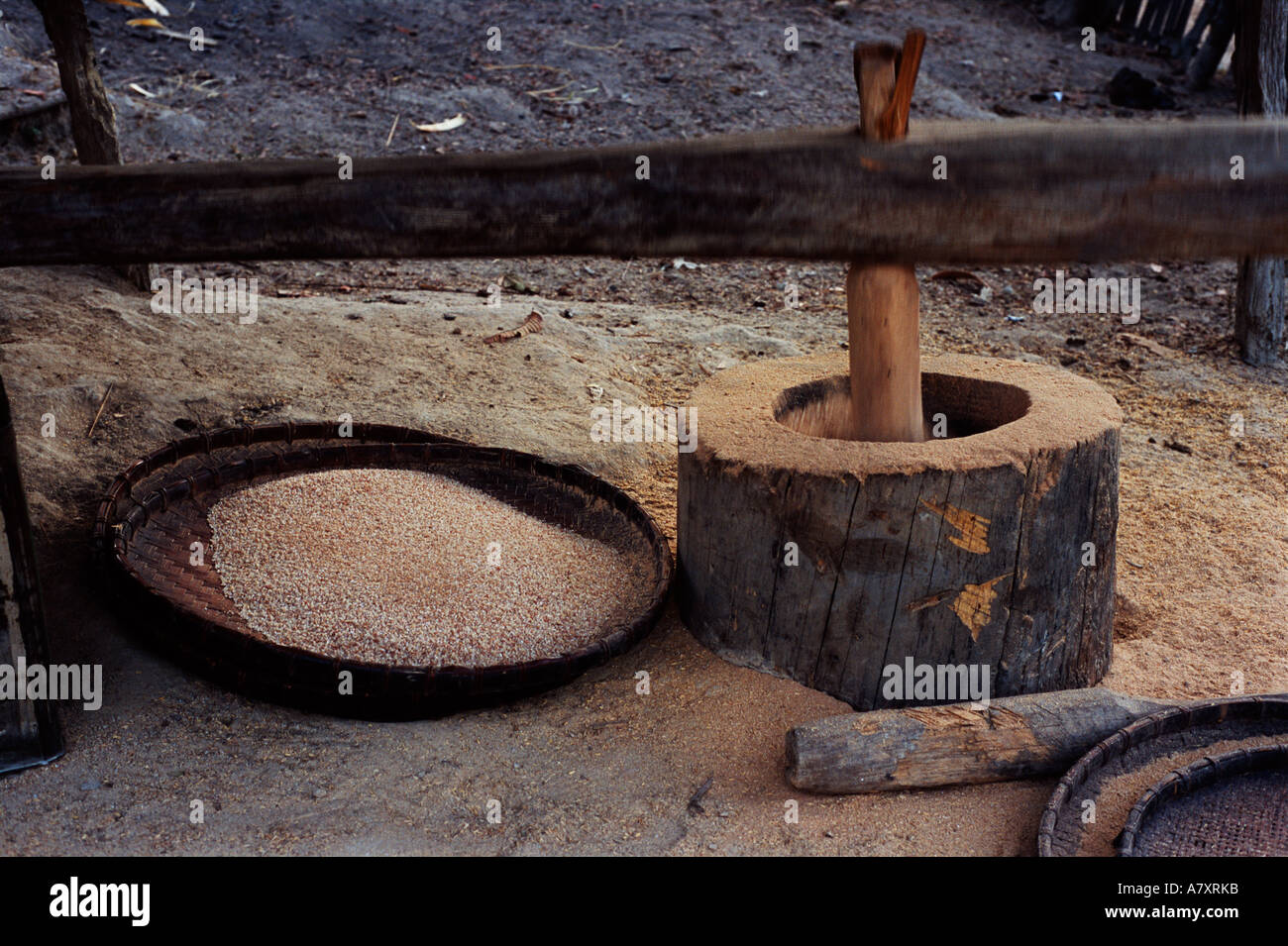 Handmade wooden rice mill in action at Lahu hilltribe village, northern ...