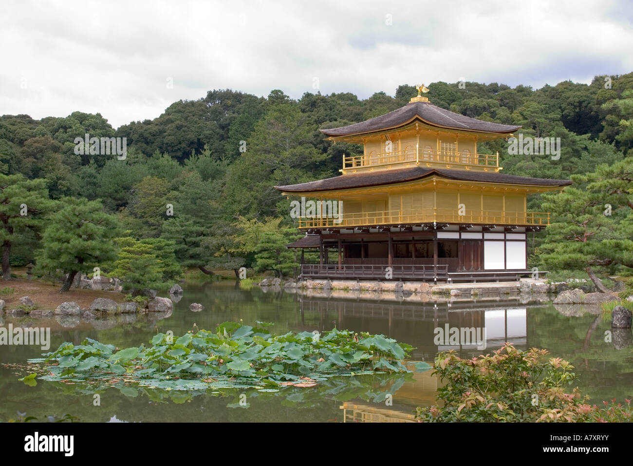 Asia, Japan, Kyoto, Golden Temple Stock Photo - Alamy