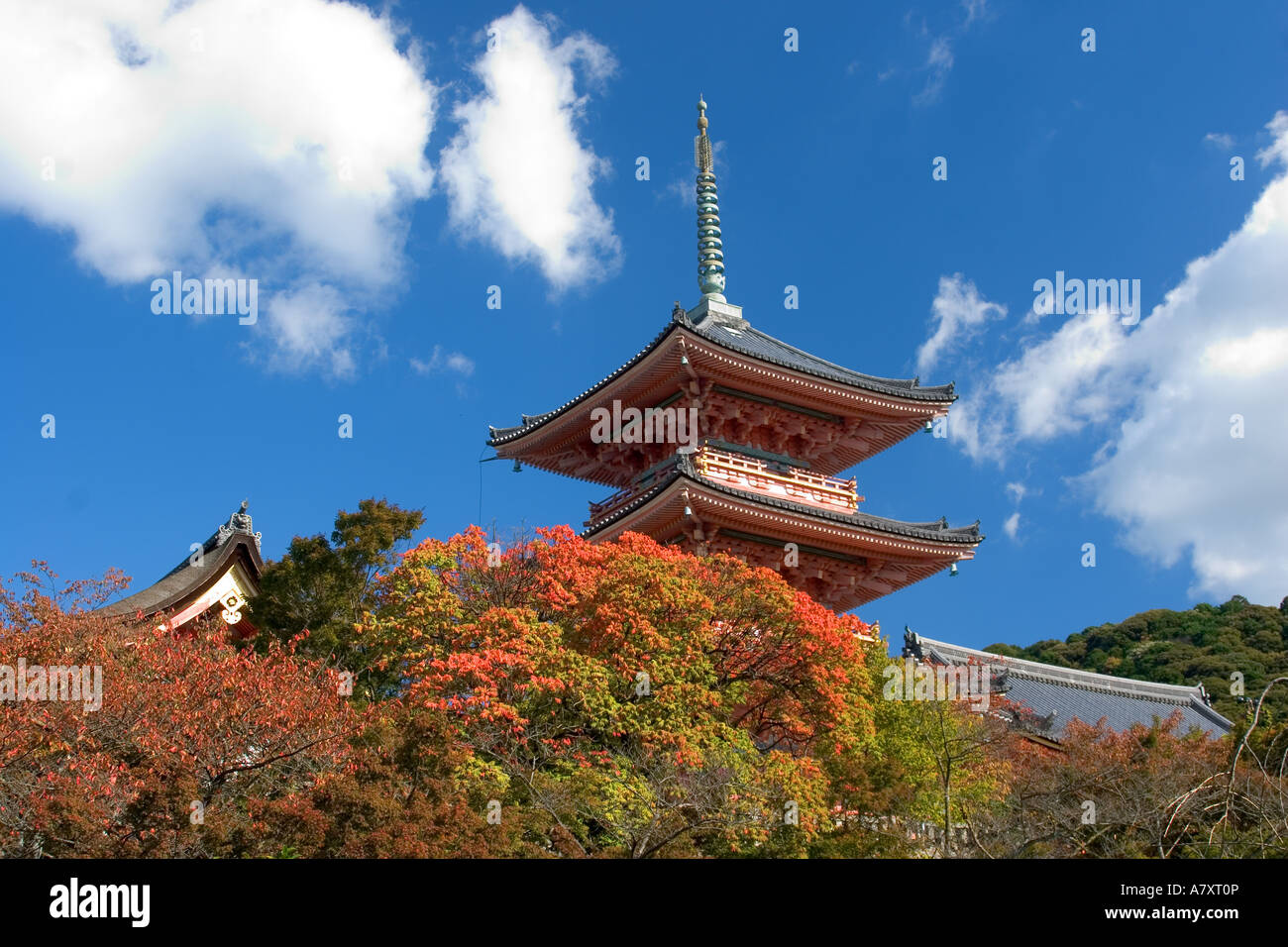 Asia, Japan, Kyoto, Autumn Colour Stock Photo - Alamy