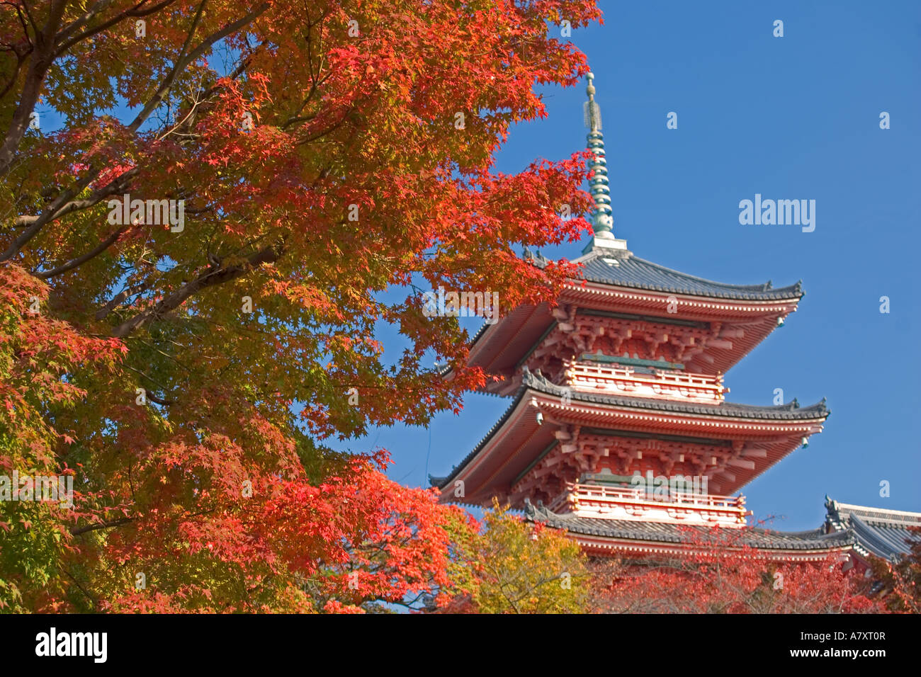 Asia, Japan, Kyoto, Autumn Colour Stock Photo - Alamy